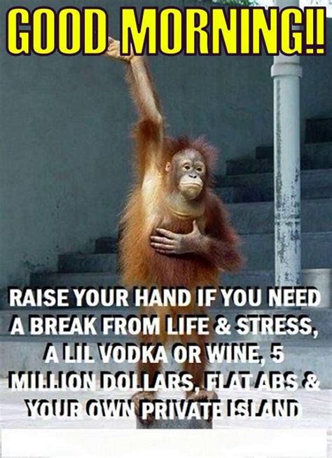 Ultimate 150 Good Morning Memes For A Smile Now