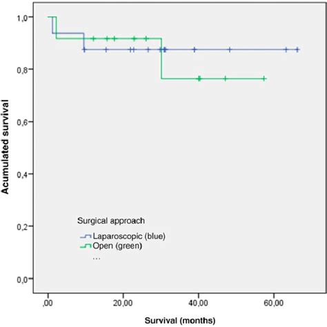 Survival At Five Years According To Surgical Approach P 4 0781