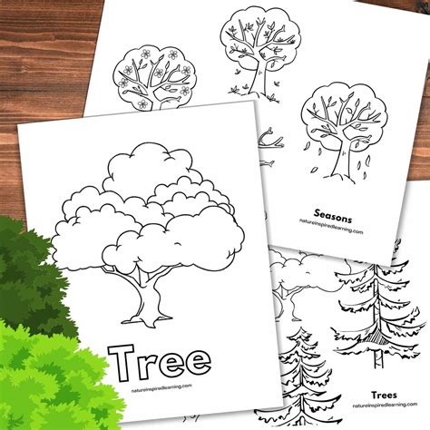 150 Number Charts Nature Inspired Learning