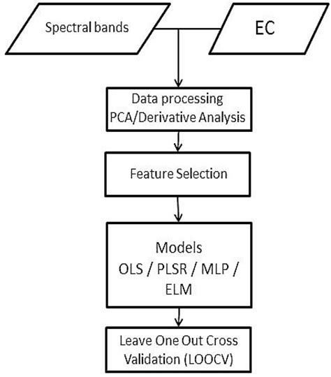 Methodology Used In The Generation And Validation Of The Linear And