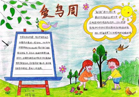 爱鸟护鸟手抄报资料 内容 人鸟同天下手抄报