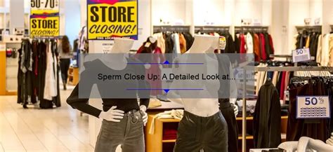 Sperm Close Up A Detailed Look At Male Fertility Exploring The