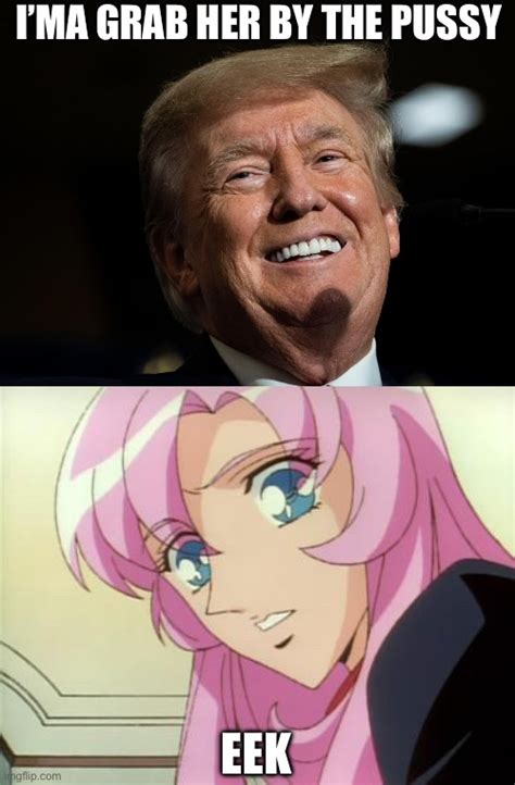 Just And Accurate Decription Of Yalls Beloved Trump Imgflip