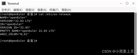 linux查看服务器系统版本命令 查看服务器系统版本linux csdn博客