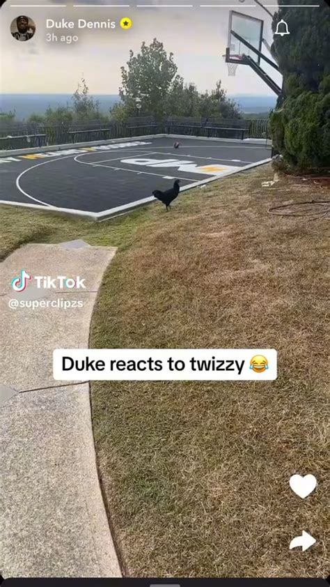 Duke Finds Twizzy 🤣 Rfanumtroupe