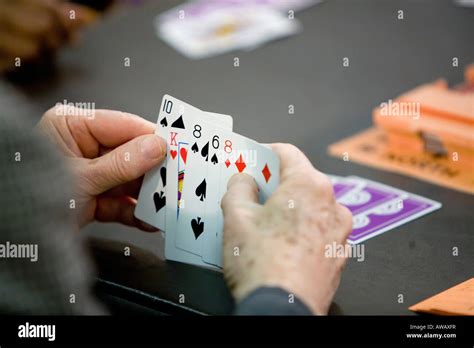 Duplicate Bridge Hand Generator Wmjjxr