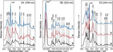 Typical Bacterial Spectra Are Shown Using Different Excitation