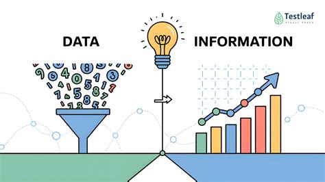 Data Vs Information 5 Real World Examples For Beginners