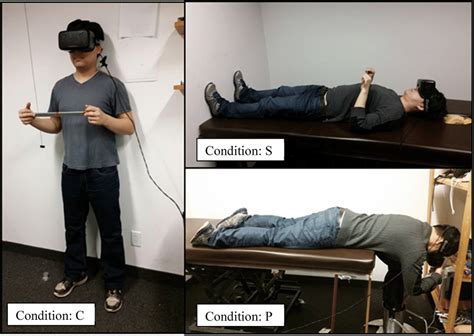 Body Orientations Upright C Supine S And Prone P Positions