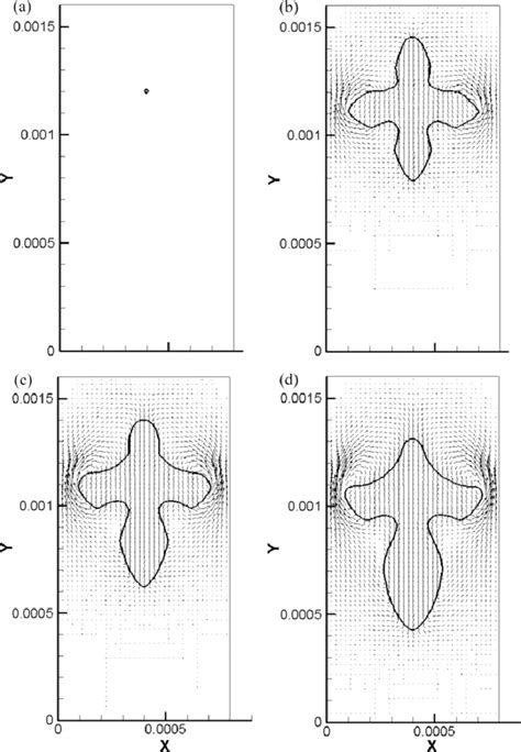 Dendrite Settling Under Gravity Interface Positions And Velocity