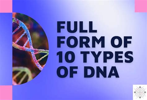 Full Form Of 10 Types Of Dna Genetic Education