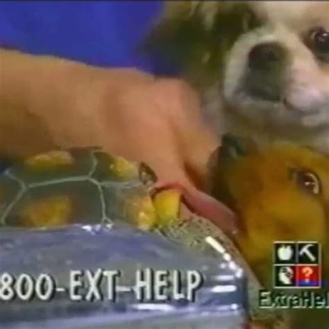 Stream Rat Test V2 By Augustriches Listen Online For Free On Soundcloud