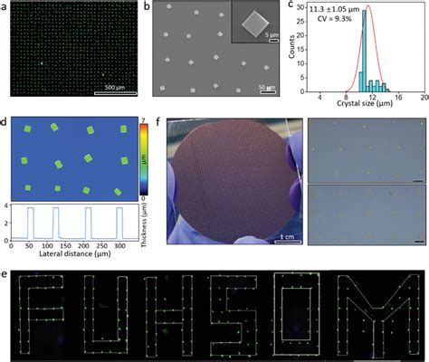 A Fluorescence Microscopy Image Of The As Grown Ch3nh3pbbr3 Microplate