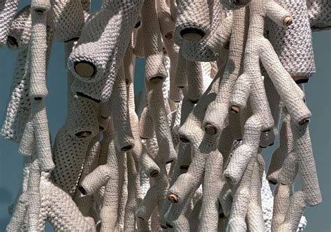 Diane Roy Ramification