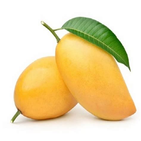 Hapus Alphonso Mango At ₹ 100kg अल्फांसो आम In Kalyan Id