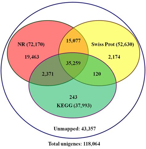Detection Of Homologous Genes In Public Databases The Numbers Of
