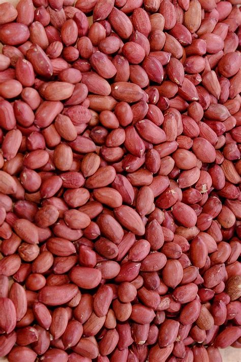 Ground Nuts Growfront Enterprises Ltd