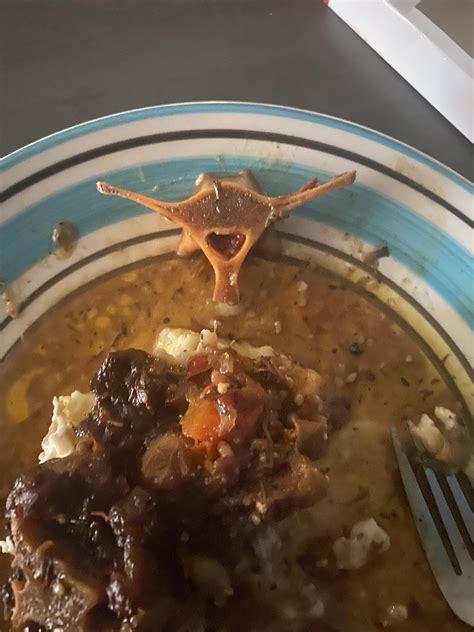 Bone In Ox Tail Resembles The Ox Rmildlyinteresting
