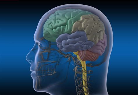 Autoimmune Encephalitis What Psychiatrists Need To Know