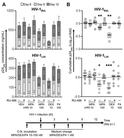 Virus Production In Tonsillar Tissue Explants Treated With Steroid