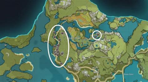 Bamboo Shoot Genshin Impact Location And How To Plant