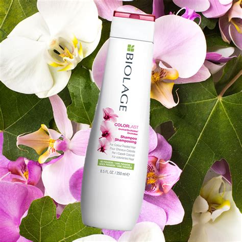 Colorlast Shampoo Biolage · Protección Del Color Perfumes Club