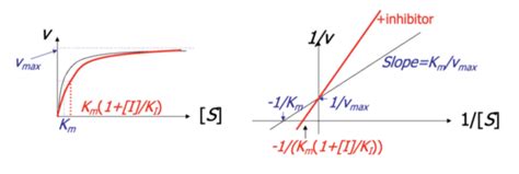 Biochemistry Exam 3 Essential Equations And Graphs Overview Flashcards