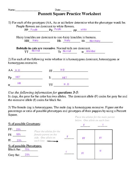 Kami Export Camille Mc Eachern Punnett Square Practice Punnett