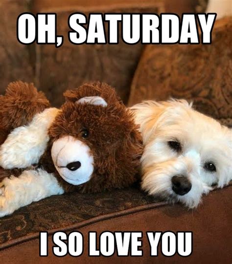 Saturday Memes Funny Weekend Memes