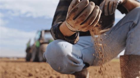 From Soil To Microbiome Unisot