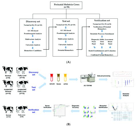 Design Of The Study A Workflow And Experimental Design Of The Study Download Scientific