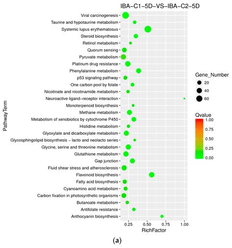 Ijms Free Full Text Dynamic Transcriptome Analysis Reveals