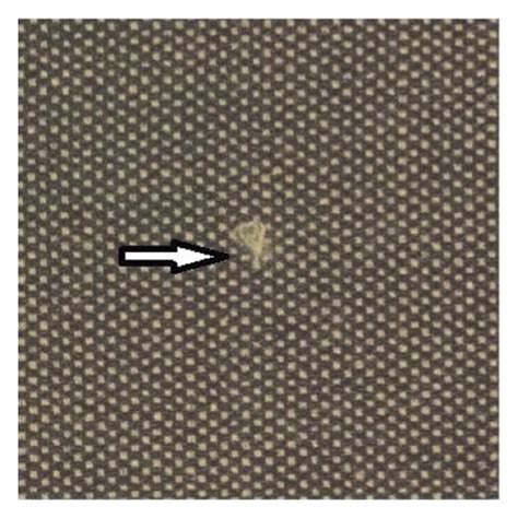 Some Fabric Defects Which Occur During Manufacturing Processing A Download Scientific