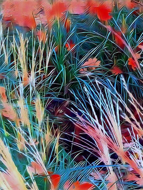 In The Grass Photograph By John Cohoon Fine Art America