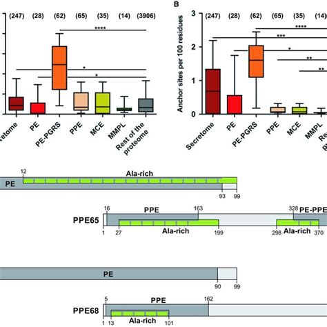Computational Analysis Of Mycobacterium Tuberculosis Protein Families