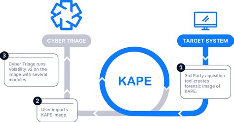 Digital Forensics Data Collection Cyber Triage