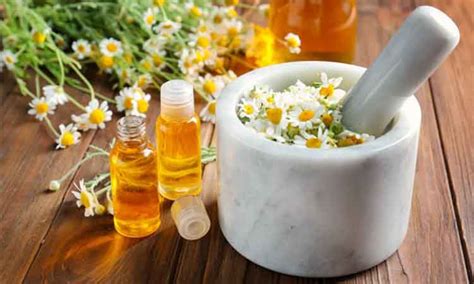 Manfaat Bunga Chamomile Untuk Kecantikan Kulit Eva Mulia Clinic