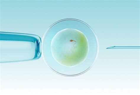 In Vitro Fertilization Ivf A Comprehensive Guide Dr Rana Mondal