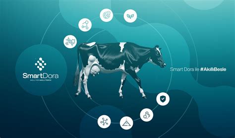 Smart Dora Karapınar