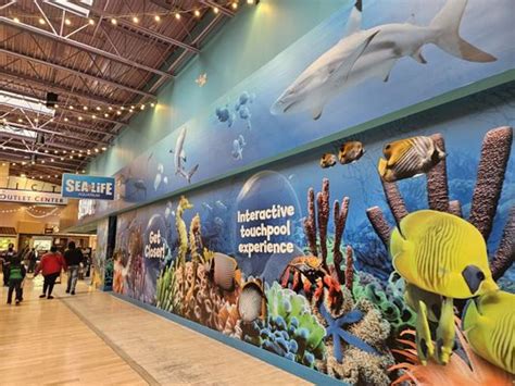 Sea Life Michigan Aquarium Updated June 2026 434 Photos And 209