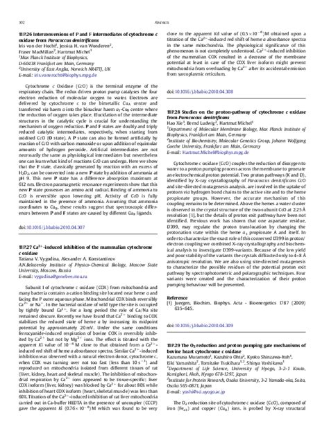 Pdf Interconversions Of P And F Intermediates Of Cytochrome C Oxidase From Paracoccus