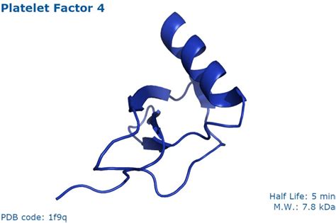 Plateletfactor 4 Purified From Human Platelets By Affinity Chromatog