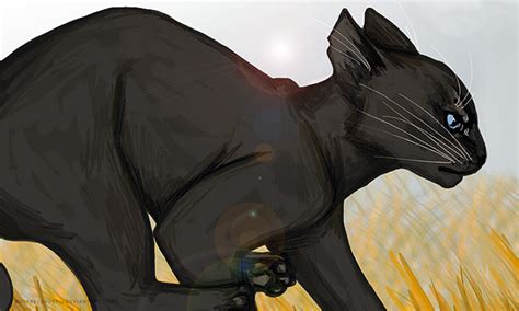 Crowfeather Warrior Cats