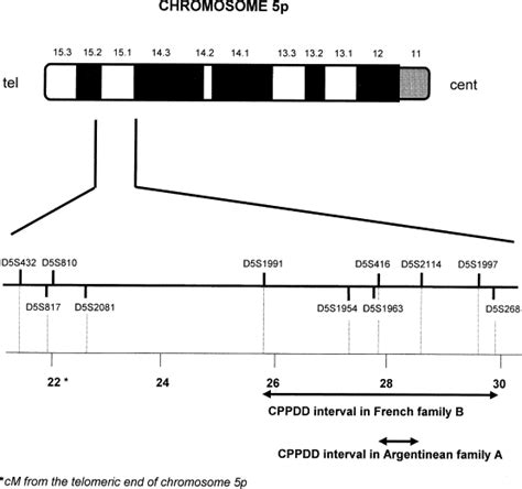 Refinement Of The Chromosome 5p Locus For Familial Calcium