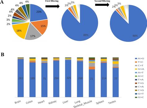 Genome Wide Identification And Analysis Of A To I Rna Editing Events In