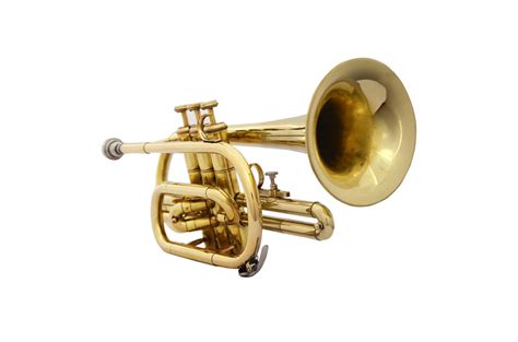 Cornet Sale NEW ELEGANT DELUXE BRASS FINISH Bb FLAT CORNET FREE CASE ...
