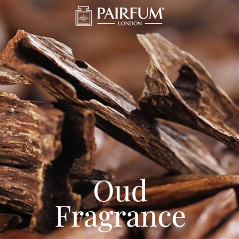 Oud Fragrance The Essence Of Arabic Perfumes