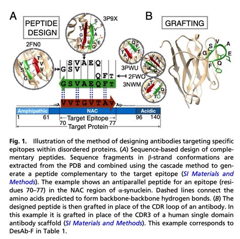 A Primer On Machine Learning In Antibody Engineering