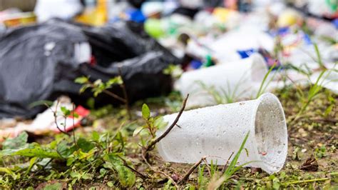 Do Biodegradable Plastic Straws Exist Sugarcane Straws