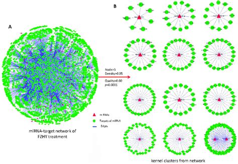 The Mirna Target Network Was Constructed Based On De Mirnas And Target